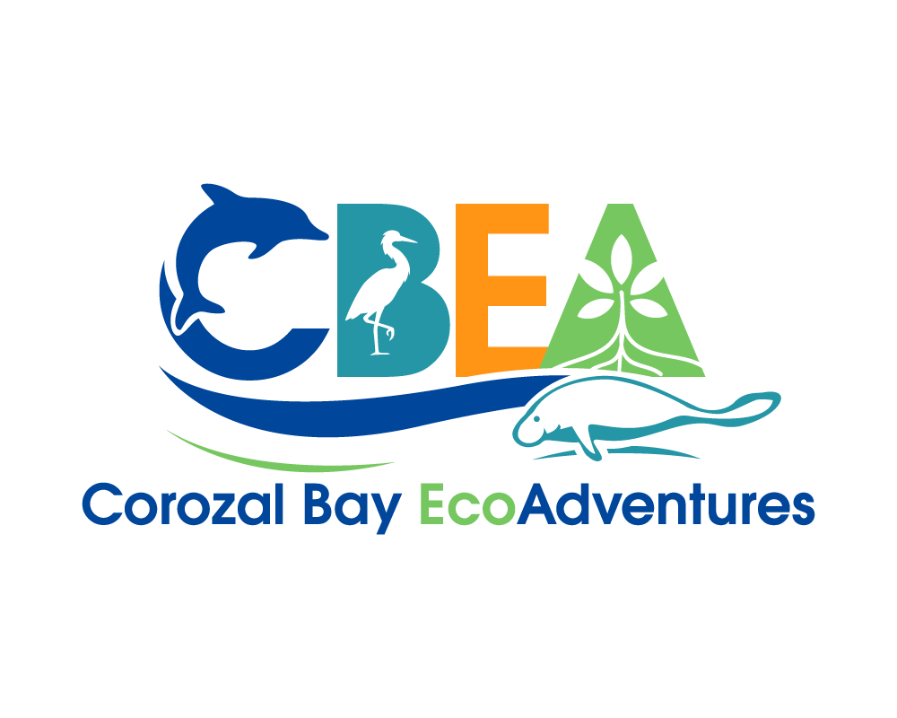 Corozal Bay EcoAdventures | Logo Design Contest | LogoTournament