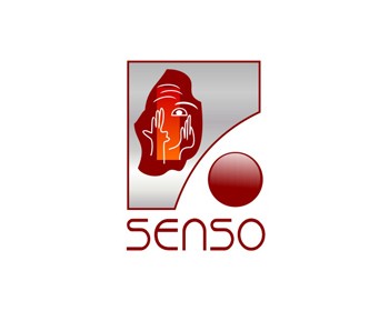 Senso Logo Design Contest